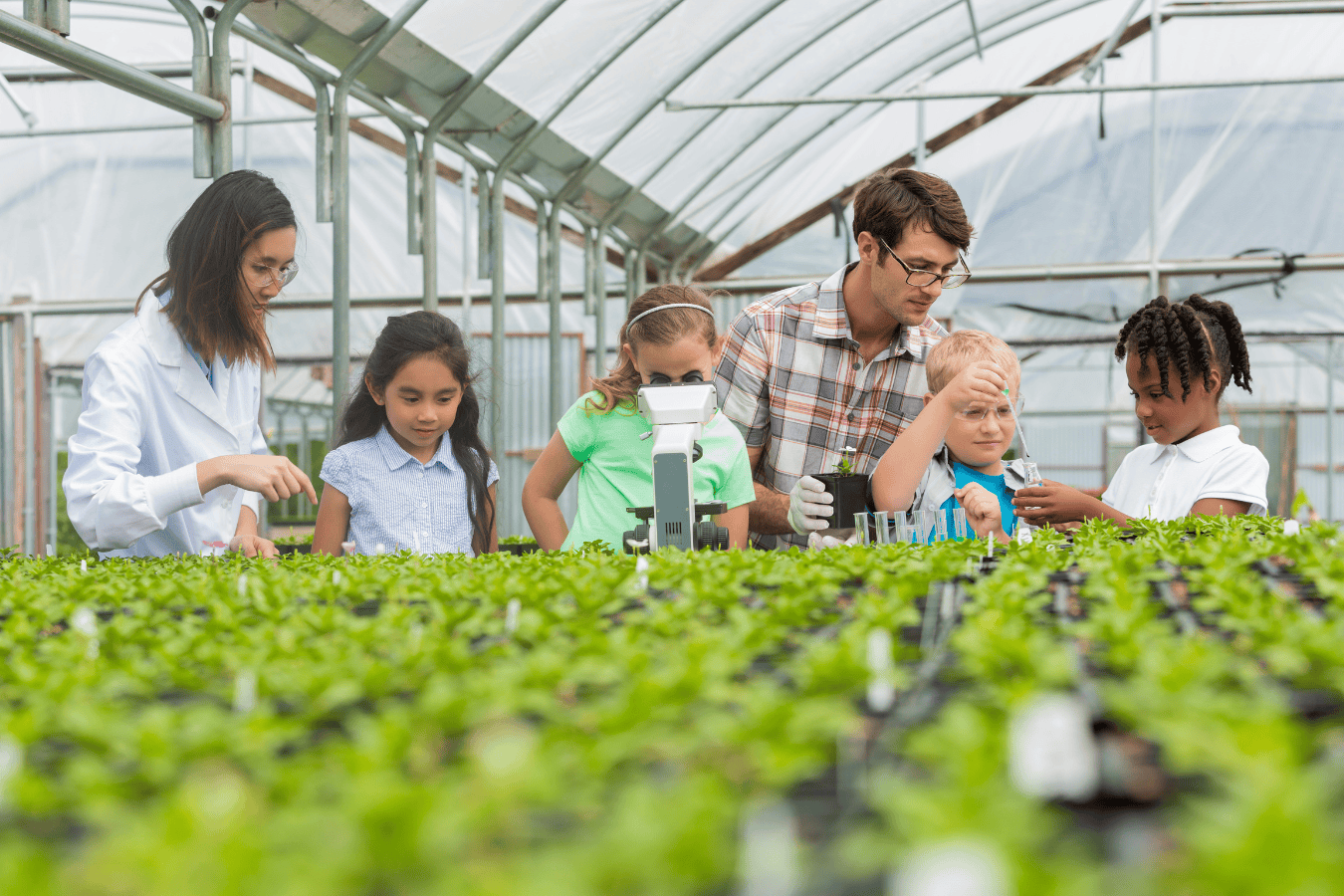 Field Trips Made Easy: Simplifying School Permissions and Payments with School-Day - Sparkrock